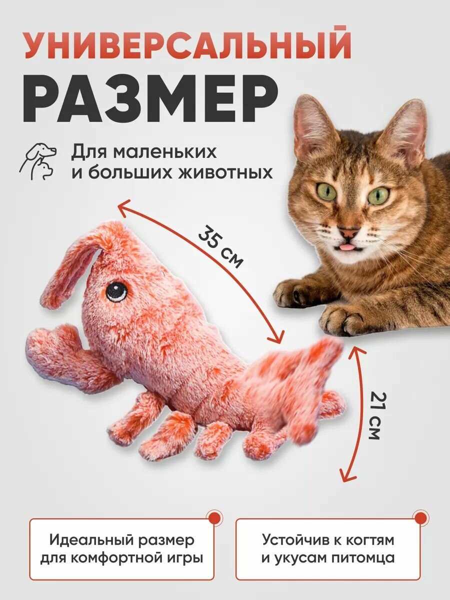 Игрушка для животных — фото 1