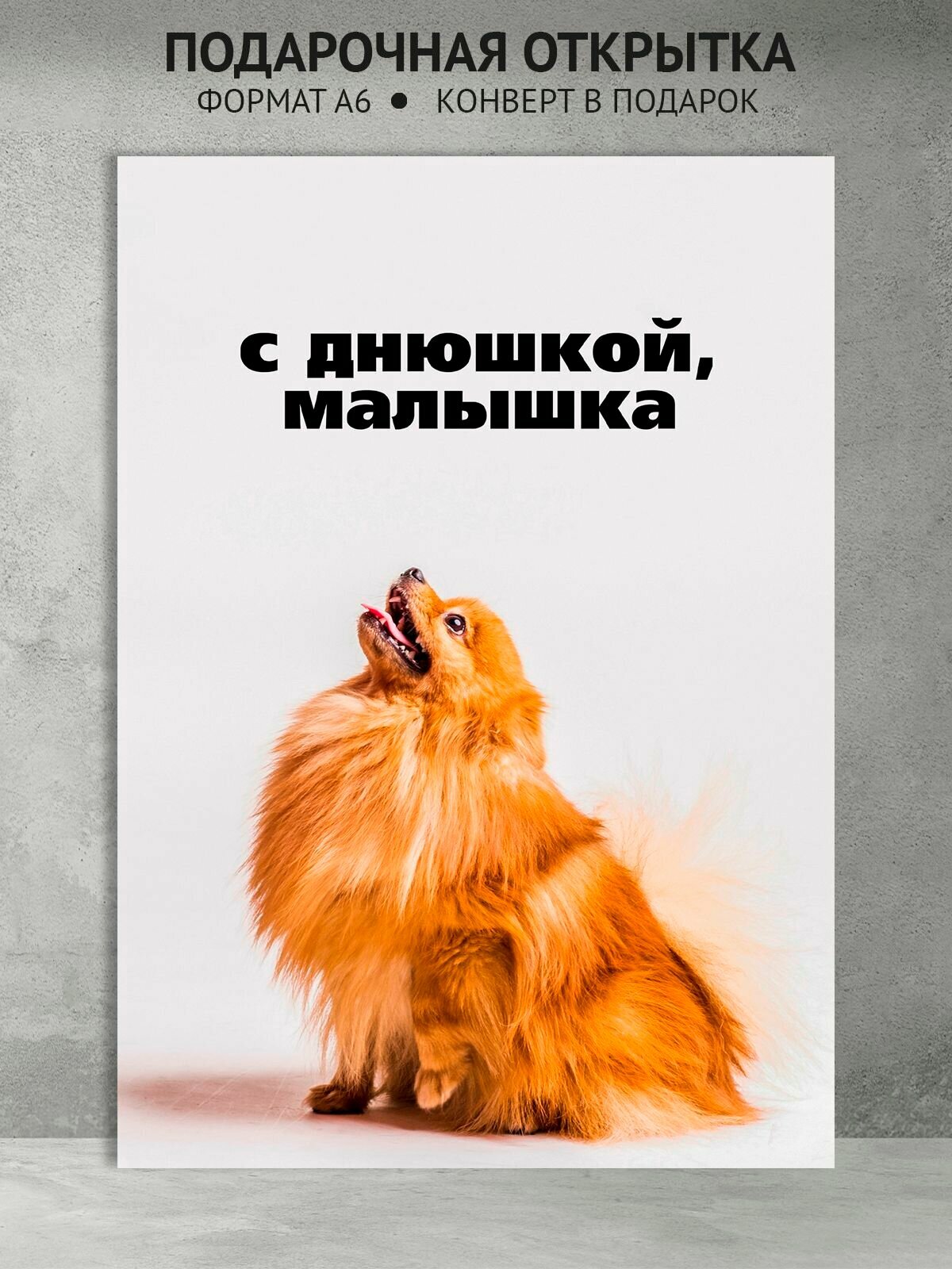 Подарочная открытка с уникальной иллюстрацией шпиц "С днюшкой, малышка" с днем рождения, с юбилеем, без повода