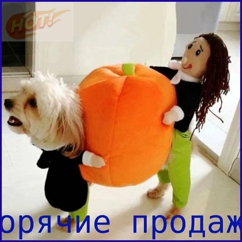 Одежда для домашних животных смешная собака