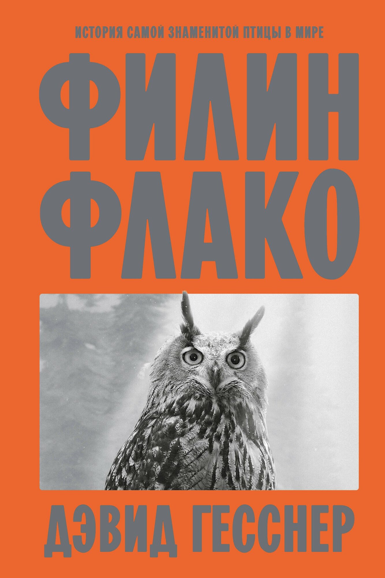 Филин Флако: История самой знаменитой птицы в мире (Дэвид Гесснер)