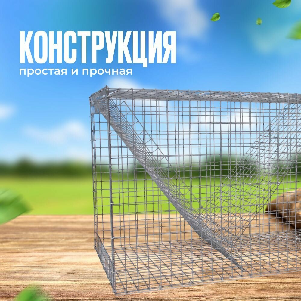 Ловушка 48*45*100 см — фото 1