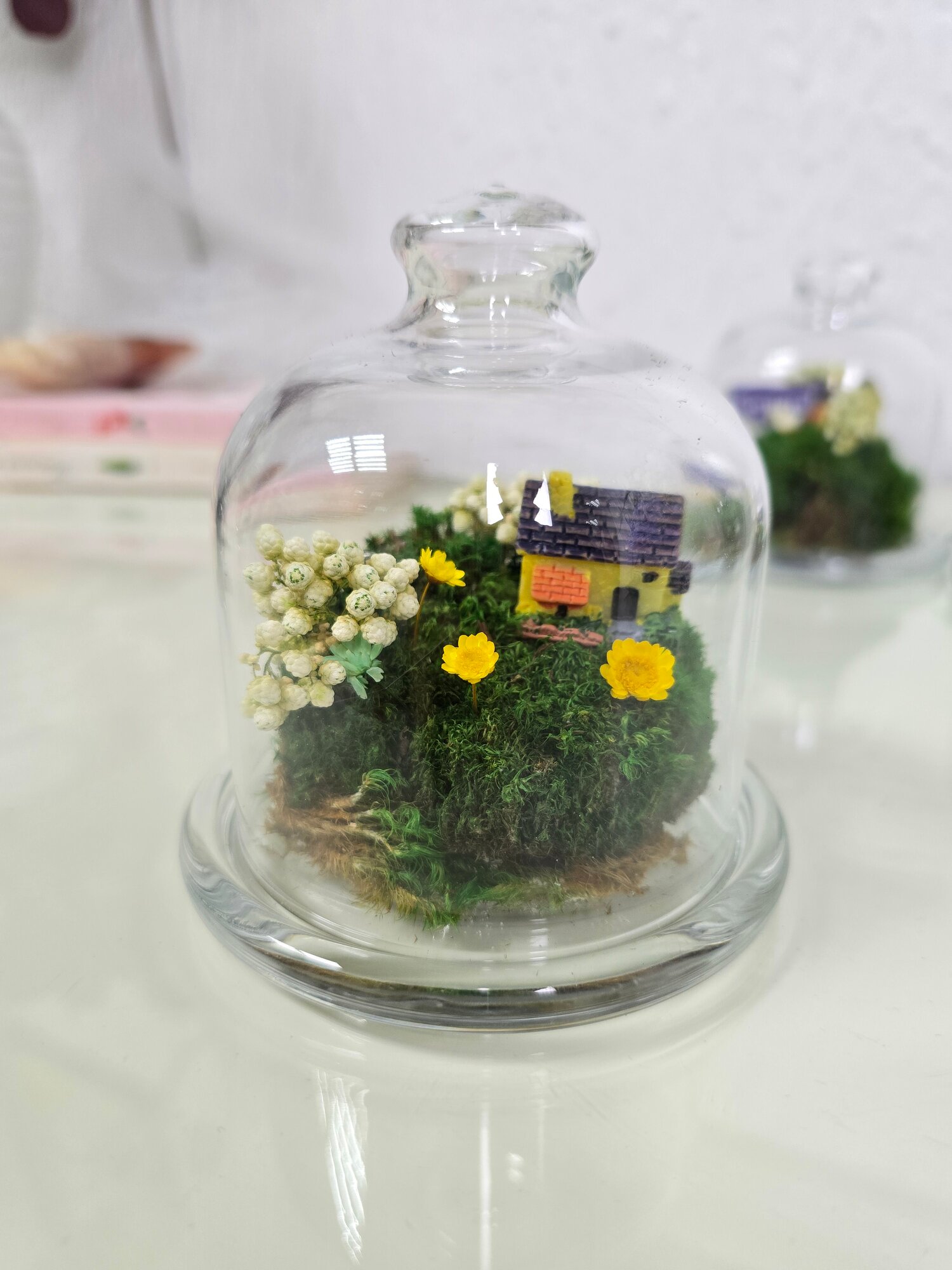 Флорариум "Прованский домик" из стабилизированного мха и стабилизированных растений в колбе, интерьерная композиция