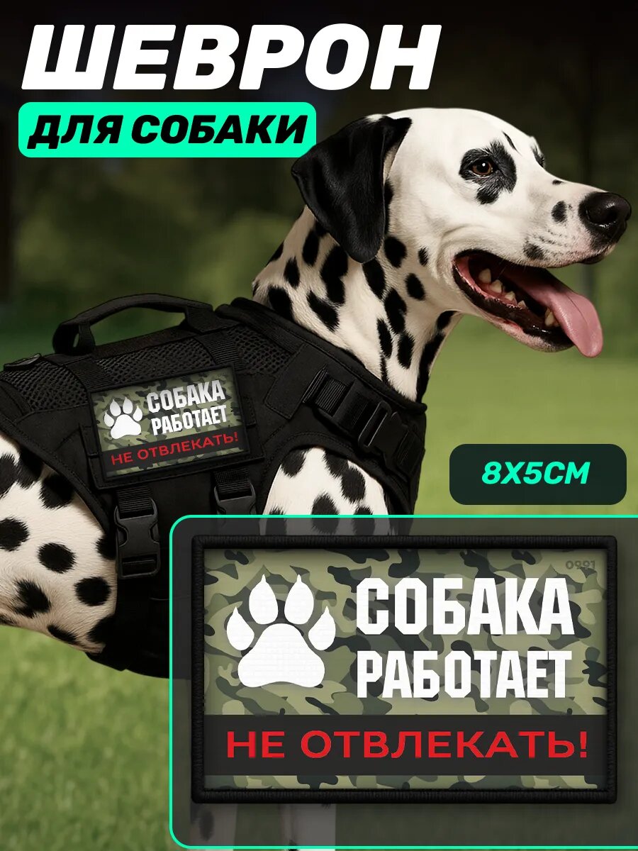 Шеврон на липучке для собак Собака работает