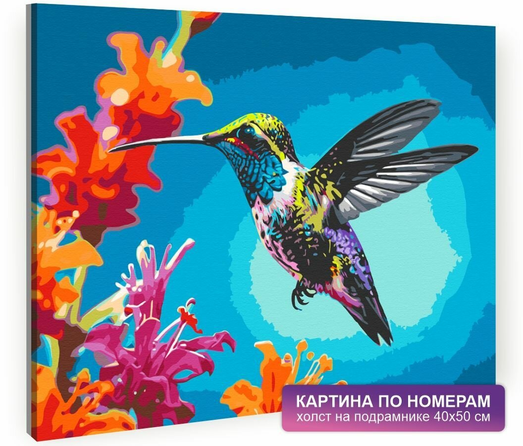 Картина по номерам на холсте с подрамником 40х50 см. Природа, животные, рыбы, птицы. "Колибри", арт. 5139/