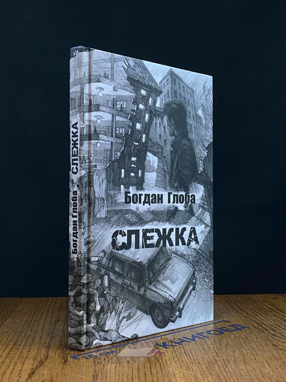Книга. Слежка 2011 (2042023825350)