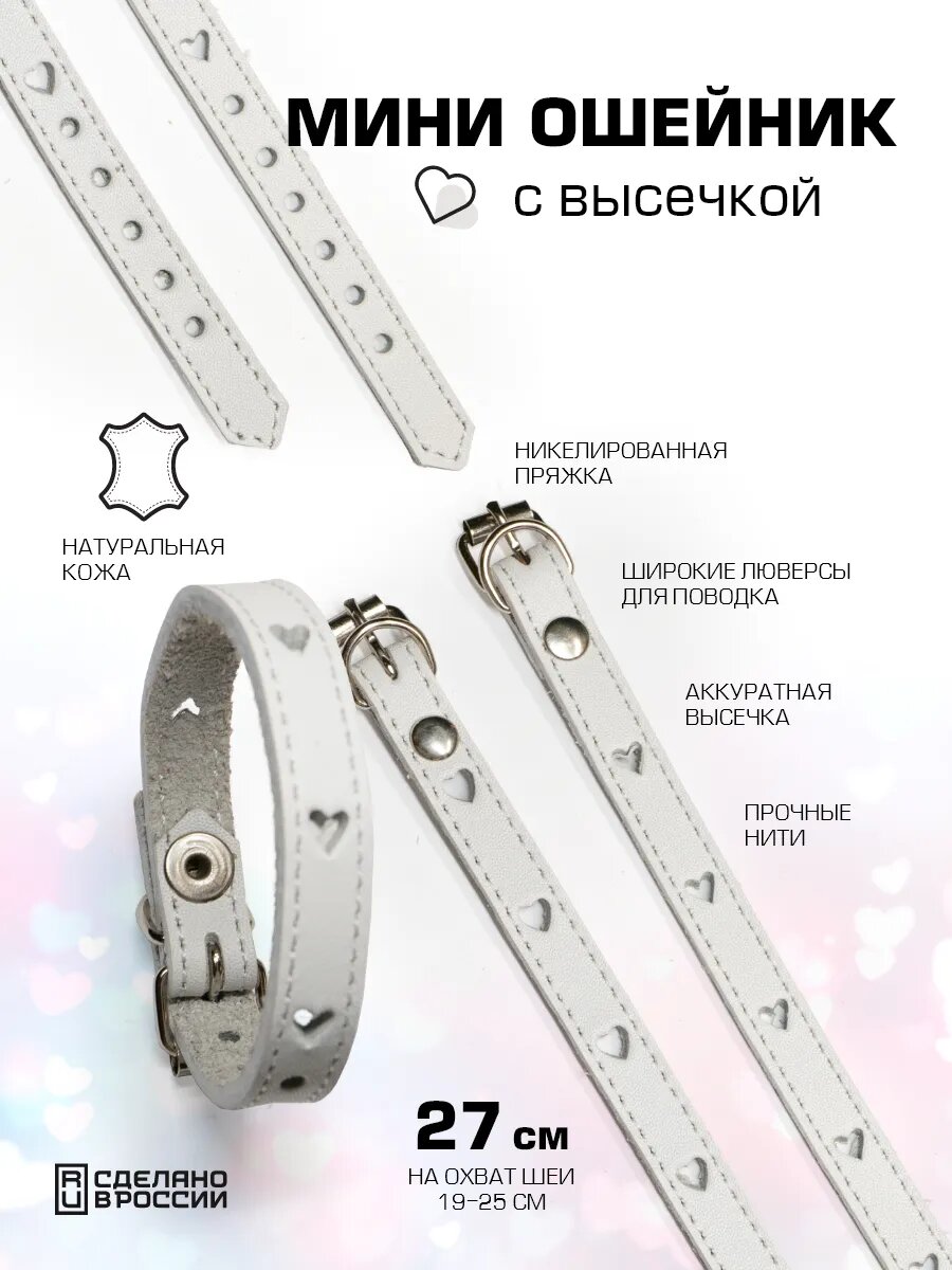 Ошейник из натуральной кожи для кошек, собак мелких пород и щенков