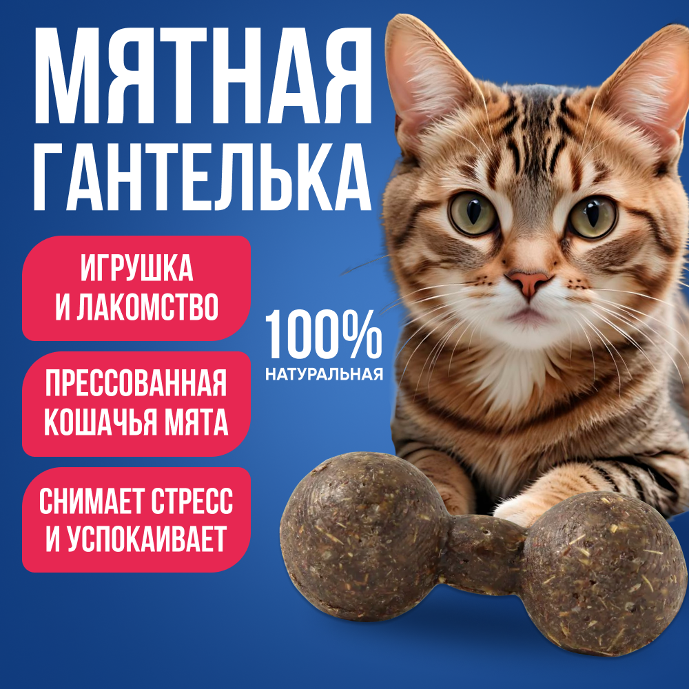 Игрушка для кошки Мятная гантелька, кошачья мята, антистресс для кошек с успокаивающим эффектом
