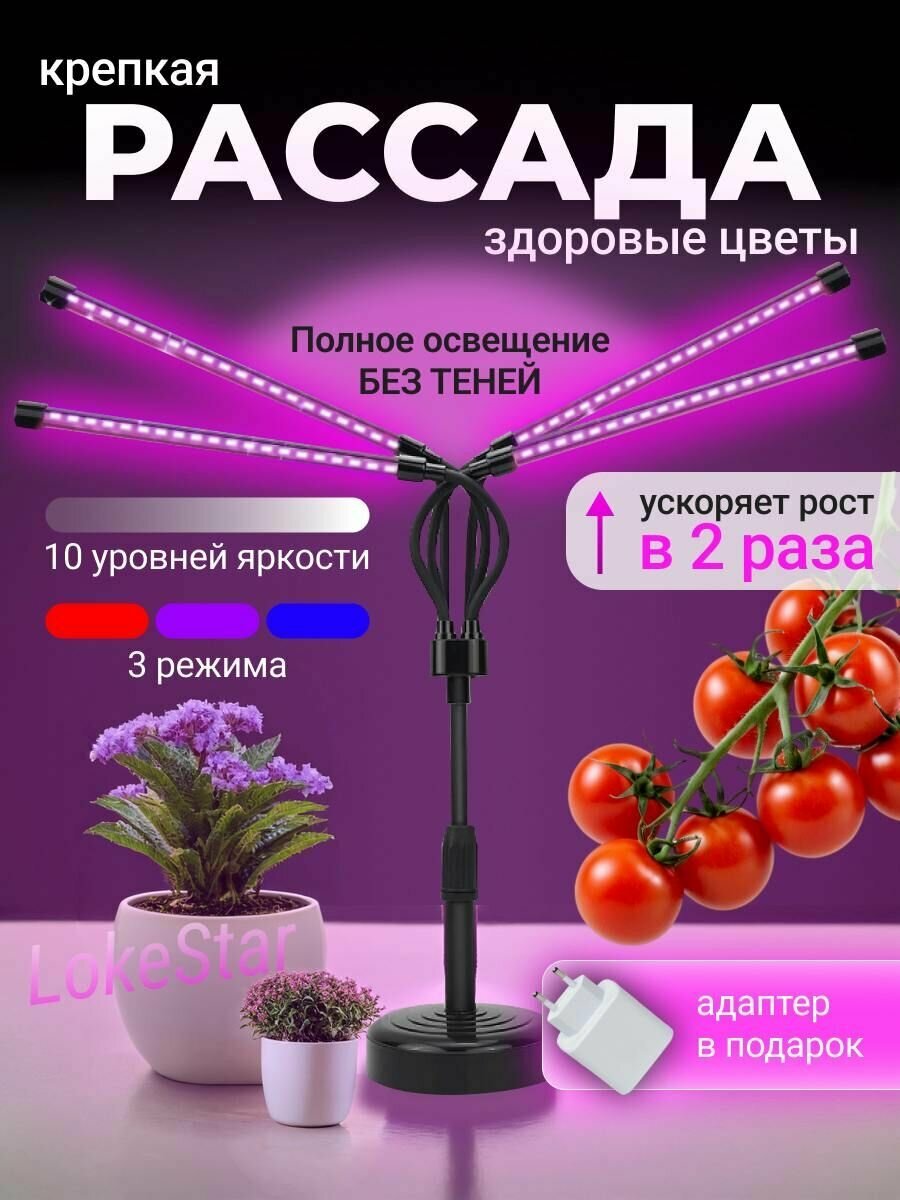 Фитолампа для растений и рассады полный спектр на подставке, 4 лампы
