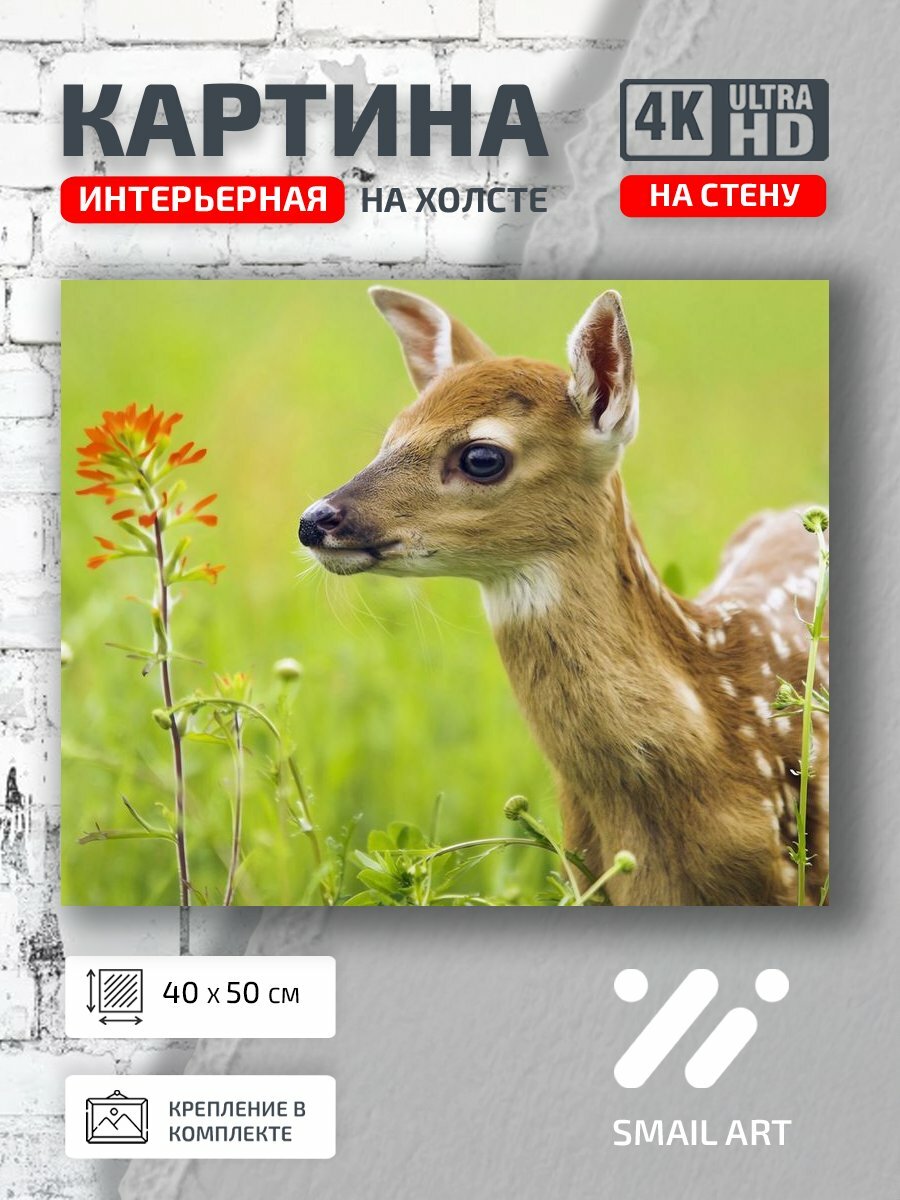 Картина на холсте интерьерная 40 на 50 на стену Олень Landscape для гостиной пейзаж декор