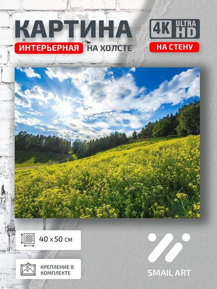 Картина на холсте интерьерная 40 на 50 на стену Цветы Landscape для кабинета пейзаж декор