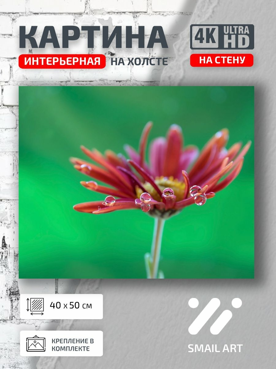 Картина на холсте интерьерная 40 на 50 на стену Фон Macro для офиса макро интерьер декор