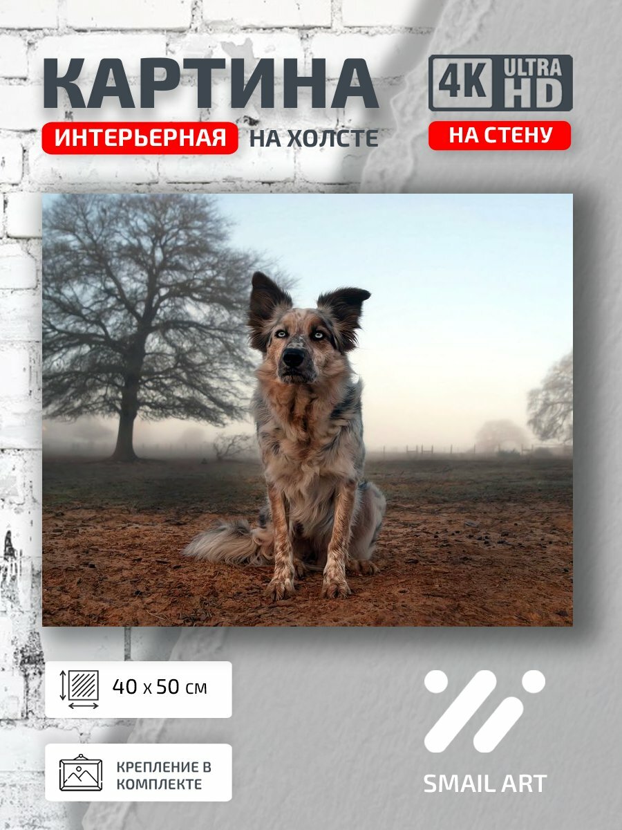 Картина на холсте интерьерная 40 на 50 на стену Природе Animal для гостиной animal style
