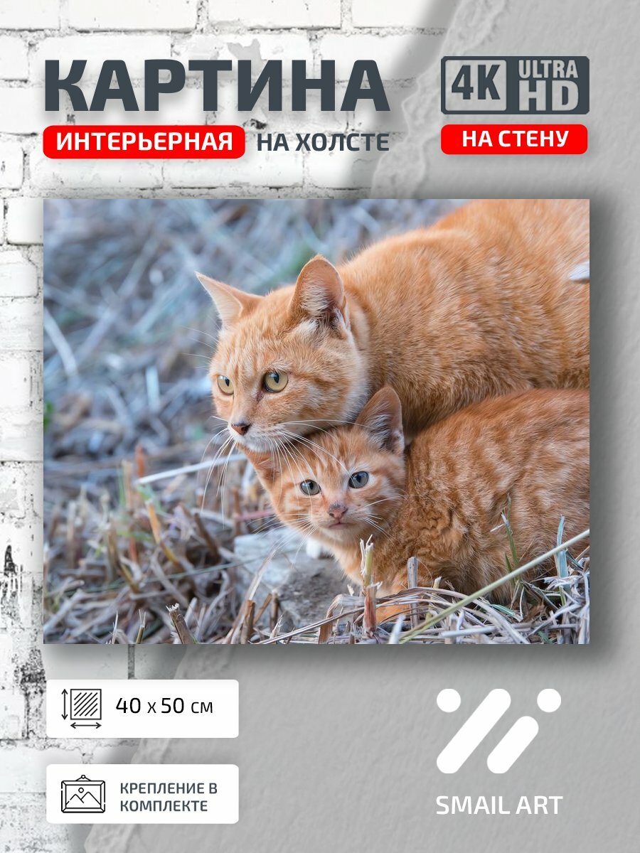 Картина на холсте интерьерная 40 на 50 на стену Рыжие kitten для кафе animal style интерьер
