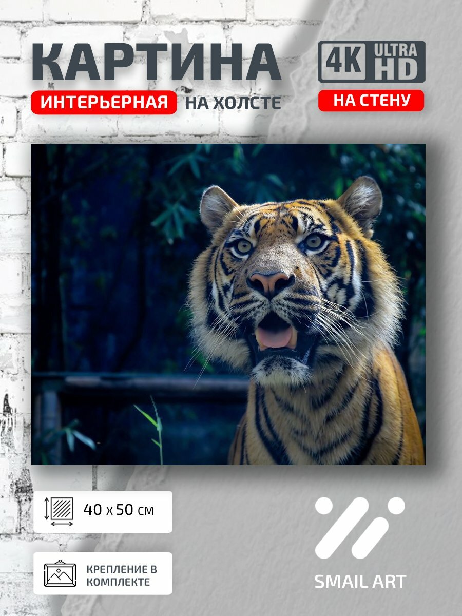 Картина на холсте интерьерная 40 на 50 на стену Хищник Animal для спальни animal style