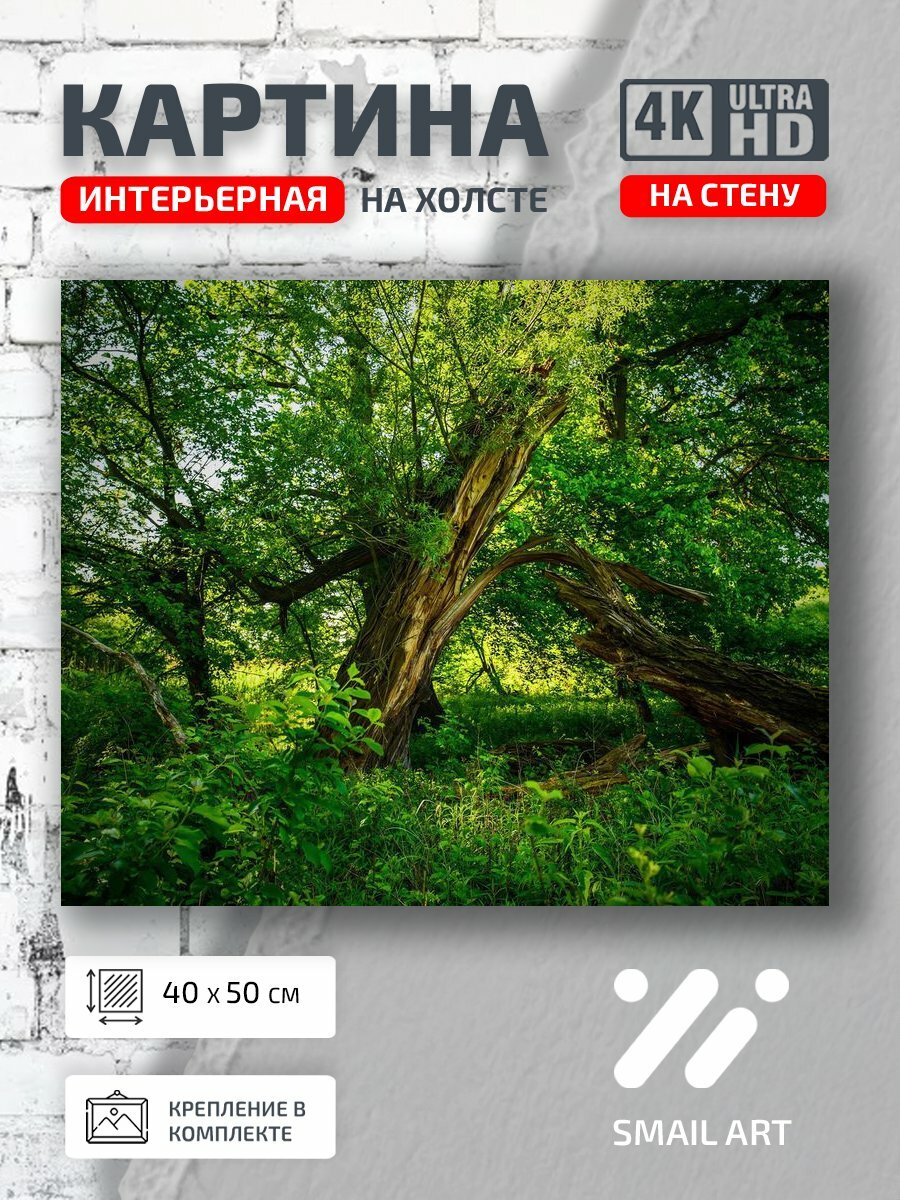 Картина на холсте интерьерная 40 на 50 на стену Листья Landscape для офиса пейзаж интерьер