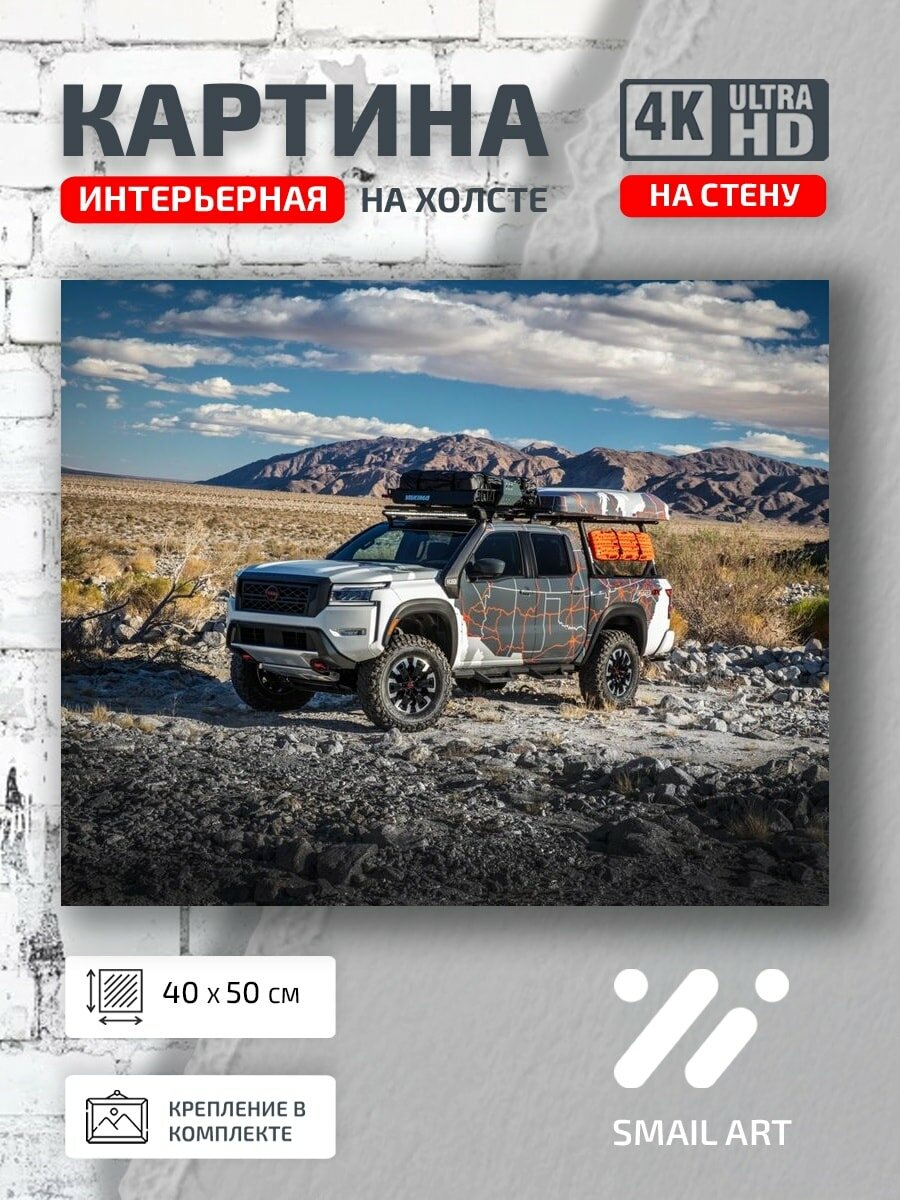 Картина на холсте интерьерная 40 на 50 на стену Project Adventure для кабинета атмосфера