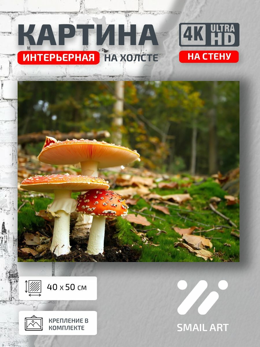 Картина на холсте интерьерная 40 на 50 на стену Мухоморы Landscape для кафе пейзаж интерьер