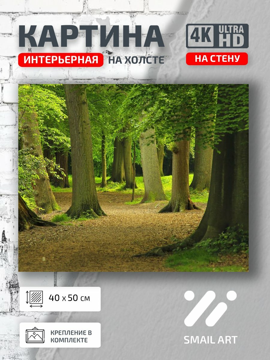 Картина на холсте интерьерная 40 на 50 на стену Зелень Mood для кабинета атмосфера интерьер