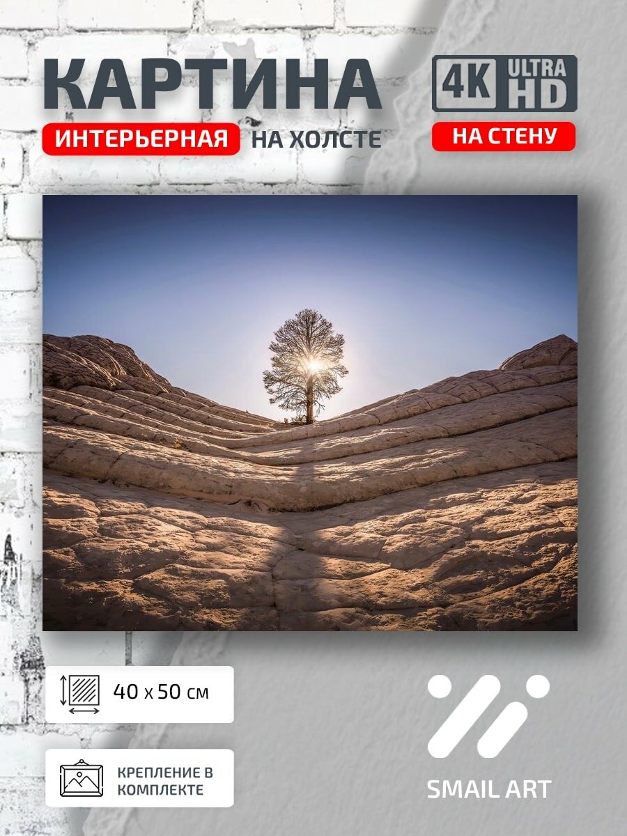 Картина на холсте интерьерная 40 на 50 на стену Природа Дерево для кафе пейзаж