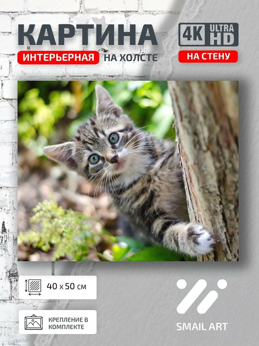 Картина на холсте интерьерная 40 на 50 на стену Животные Котенок для кабинета атмосфера