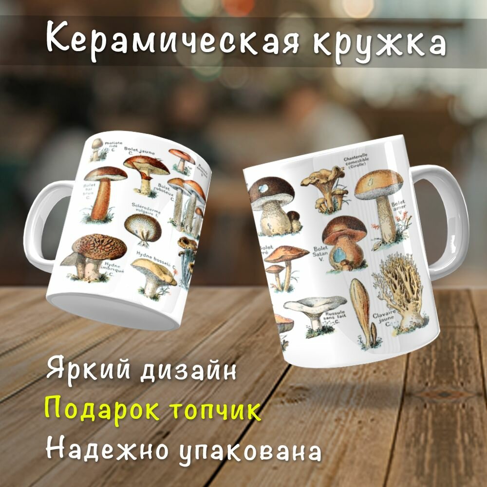 Кружка керамическая Грибы из иллюстраций