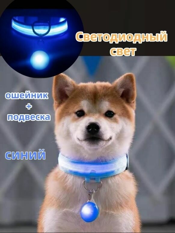 Светодиодные светящиеся ошейники для собак, кошек, большие и малые собаки, навесные наборы , ночные поездки против потери
