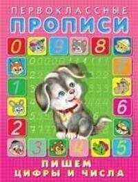 Книга "Пишем цифры и числа"