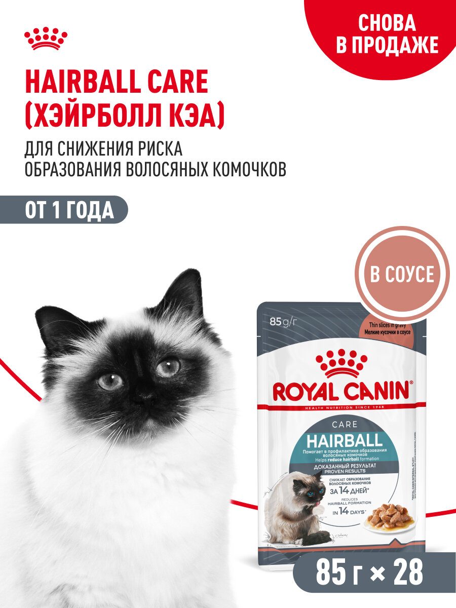 Влажный корм для кошек Royal Canin Hairball Care для выведения шерсти, кусочки в соусе, 28 шт 85 г