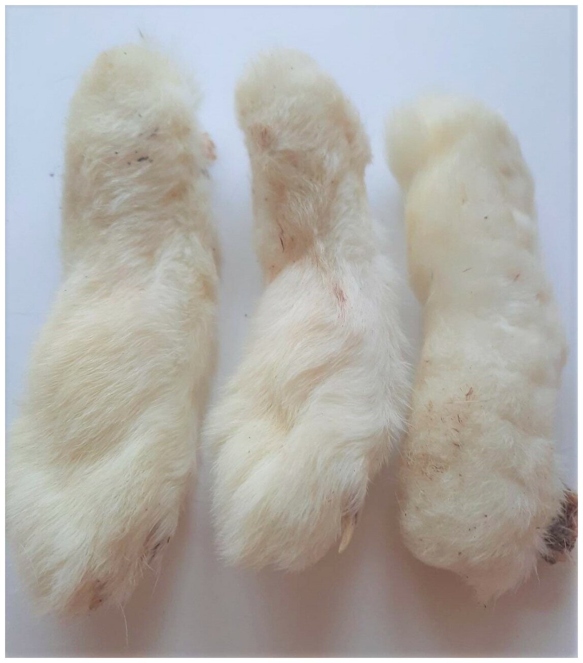 Лапки кролика задние 60г Натуральная игрушка и лакомство для собак и кошек