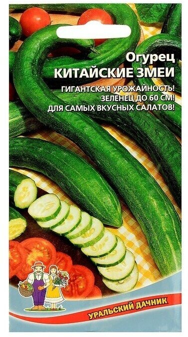 Семена Огурец 'Китайский Змей', среднепоздний, пчелоопыляемый, 10 шт