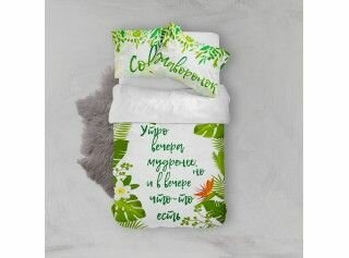 Арт комплект постельного белья Сова и Жаворонок, 2х спальный, 50/70