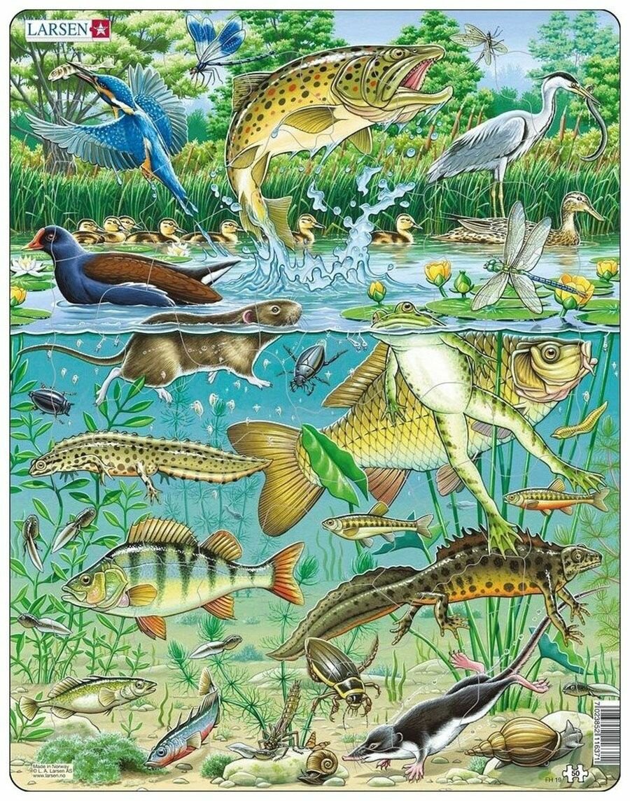 Рамка-вкладыш Larsen Пруд (FH19), 50 дет.