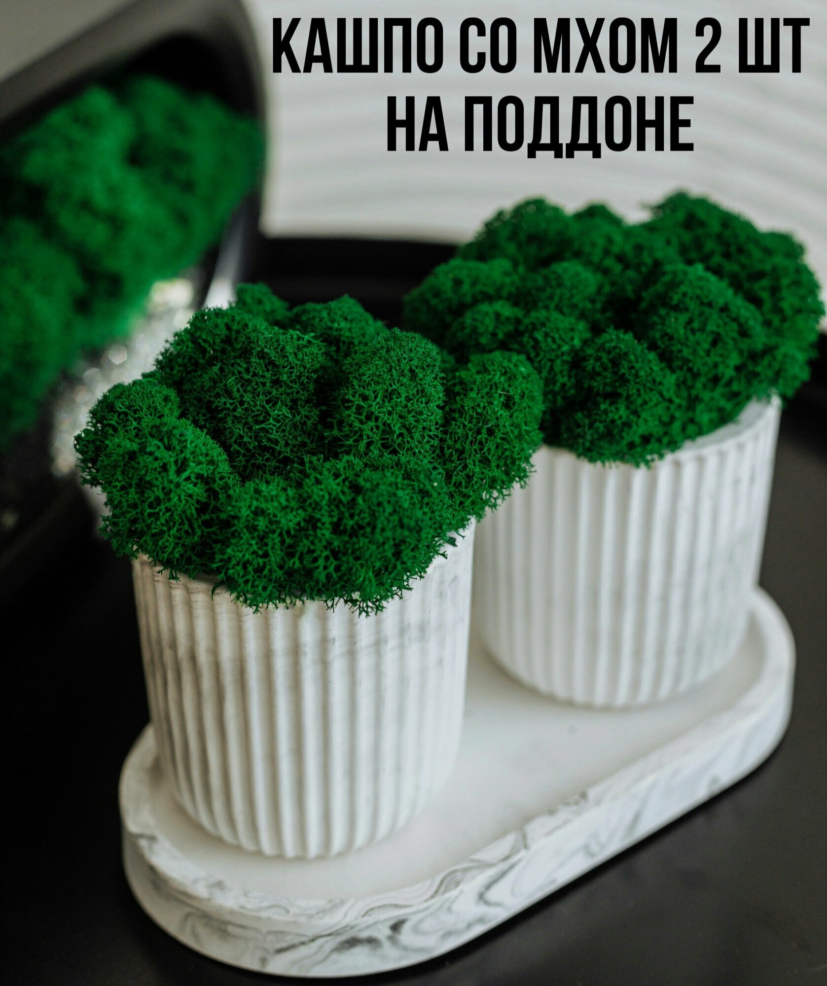 Набор ваз 2 шт из гипса со стабилизированным мхом для цветов сухоцветов настольный