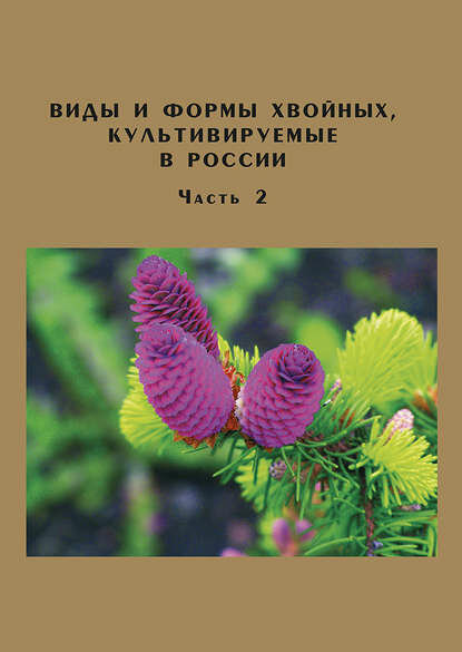 Виды и формы хвойных, культивируемые в России. Часть 2. Picea A. Dietr, Thuja L. [Цифровая книга]
