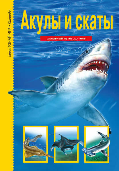 Акулы и скаты [Цифровая книга]