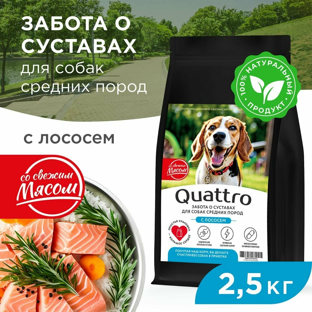 Корм сухой для взрослых собак средних пород, премиум полнорационный комплекс, забота о суставах, с лососем, 2,5 кг, QUATTRO