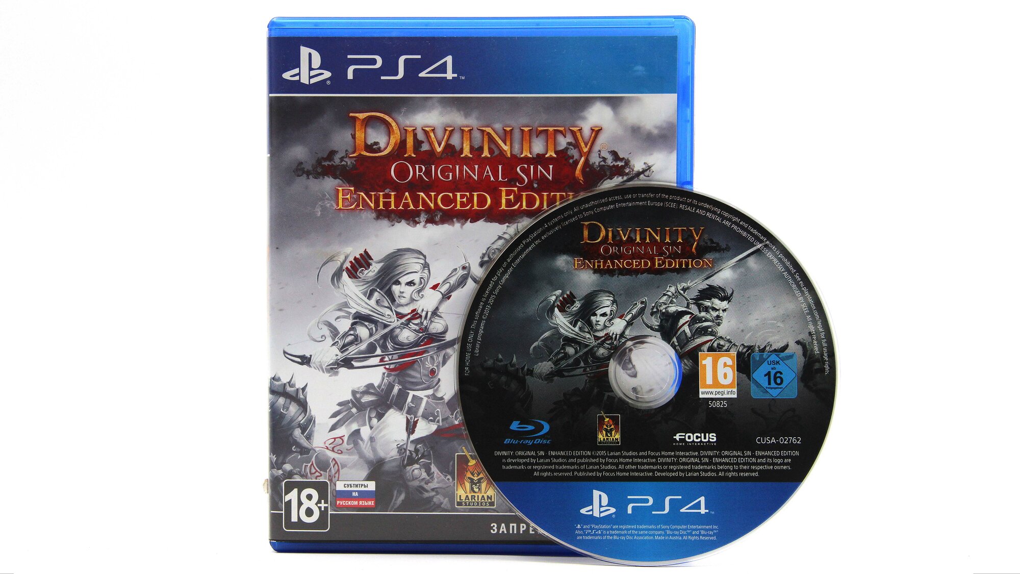 Divinity Original Sin Enhanced Edition (PS4/PS5, RU) — фото 1