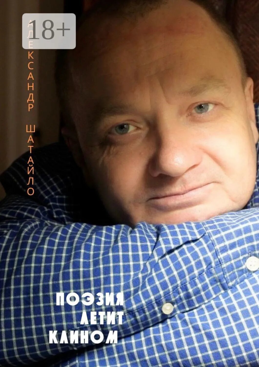 Поэзия летит клином [Цифровая книга]