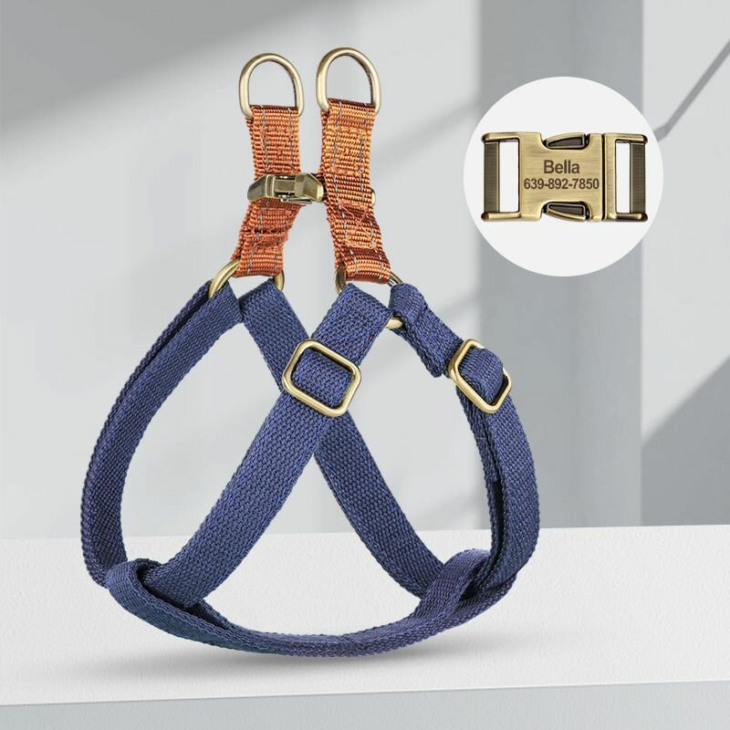 Стиль жилета с поводком для собак маленьких и средних пород, Тедди, Корги, гравируемый нагрудный ремень, наружные антипотерянные аксессуары для питомцев