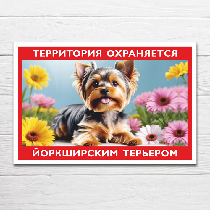 Табличка "Территория охраняется Йоркширским терьером", 40х30 см, ПВХ