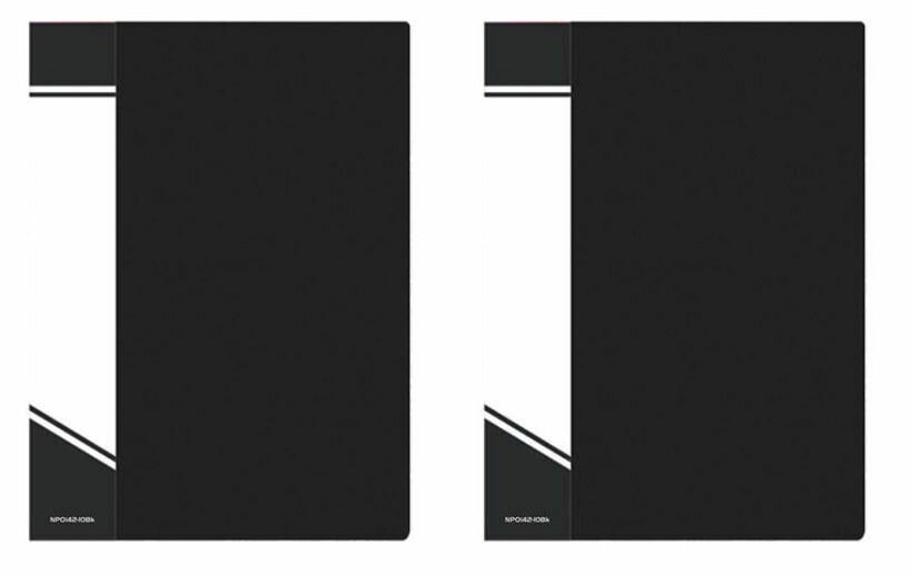 InФормат Папка с файлами пластиковая А4, карман для маркировки, черная, 10 файлов, 500 мкм, 2 шт