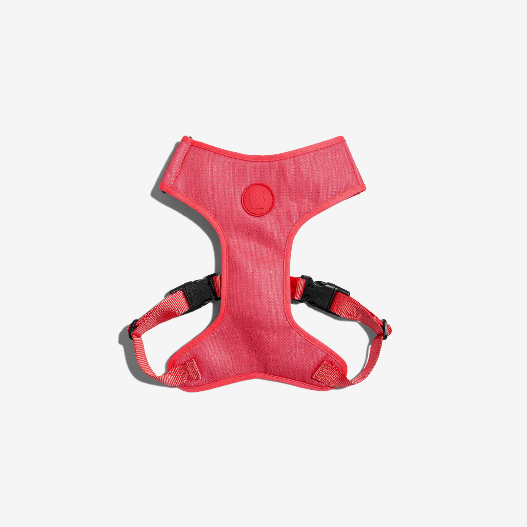 Шлейка Air Mesh NEON CORAL Zee.Dog (коралловый / M)