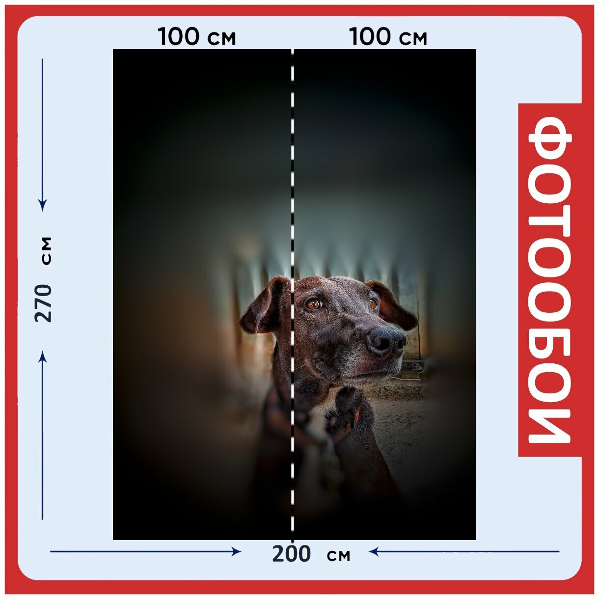 Фотообои "Собака, собачий, домашний питомец" 200x270 см. флизелиновыена стену