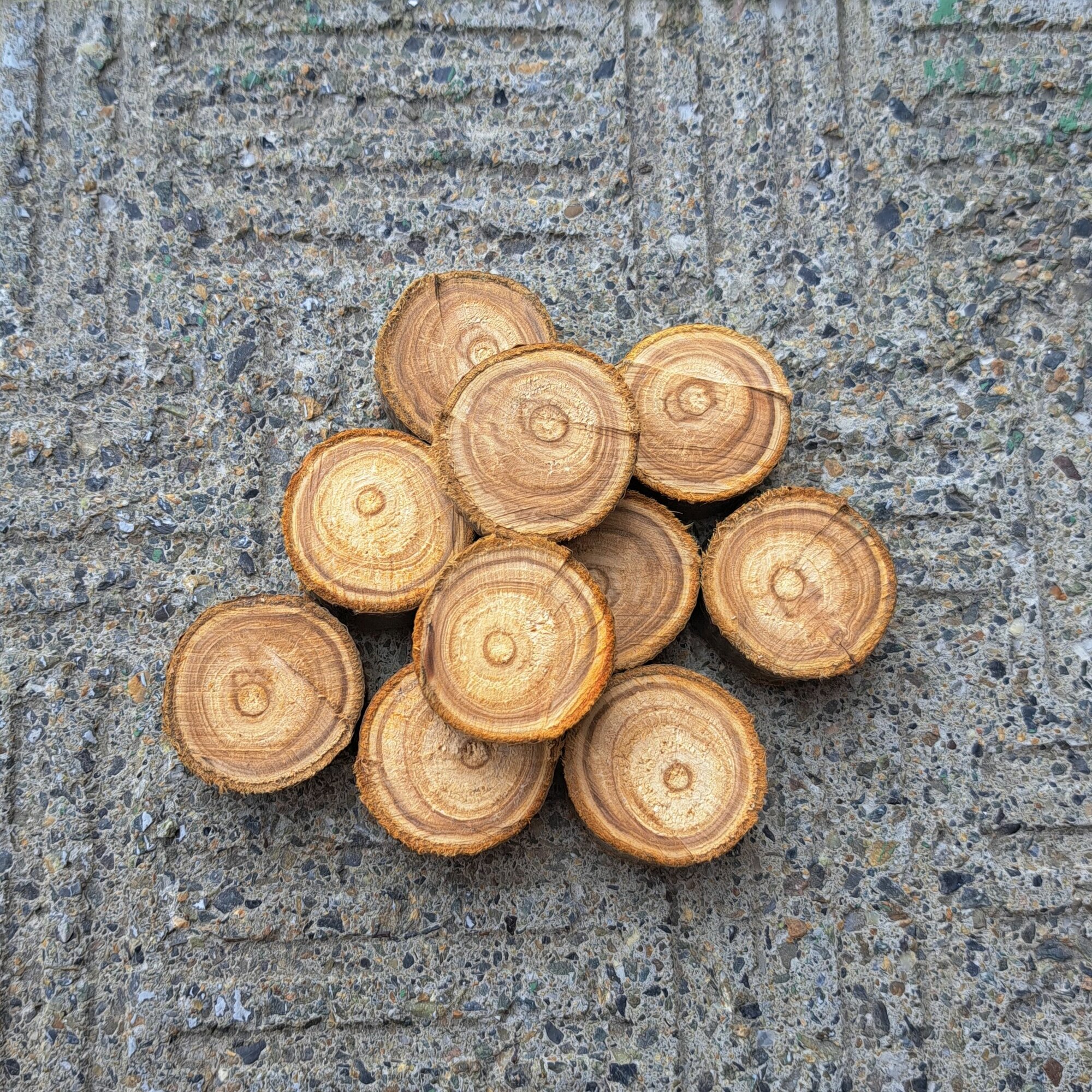 Спилы дерева яблони, не обработанные. Маленькие 10 шт. 1,5*4,5 см