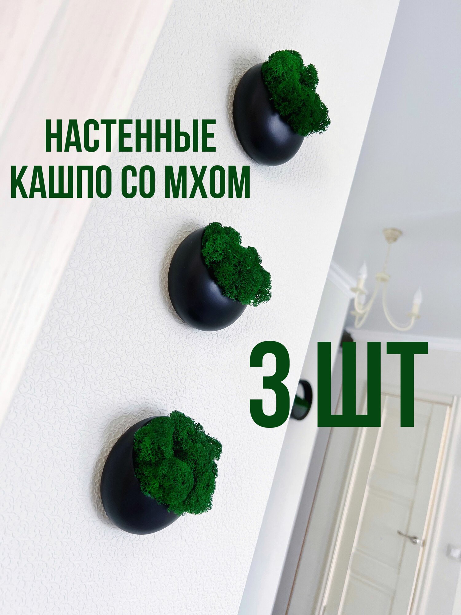 Набор настенных декоративных кашпо 10 см 3 шт черного цвета со стабилизированным мхом на стену интерьерное сухоцветы, Molecula Decor