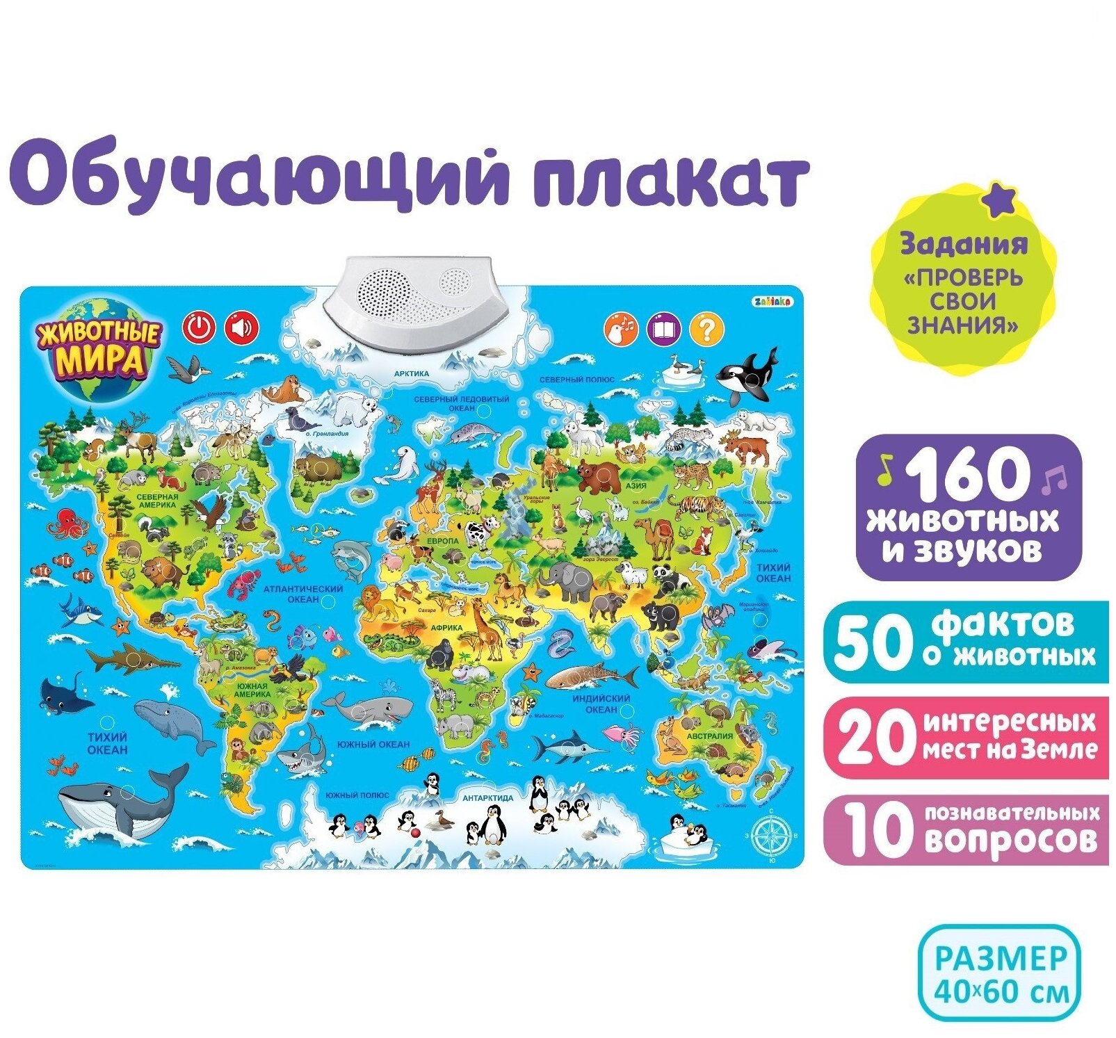 Обучающий плакат «Животные мира», звуковые эффекты