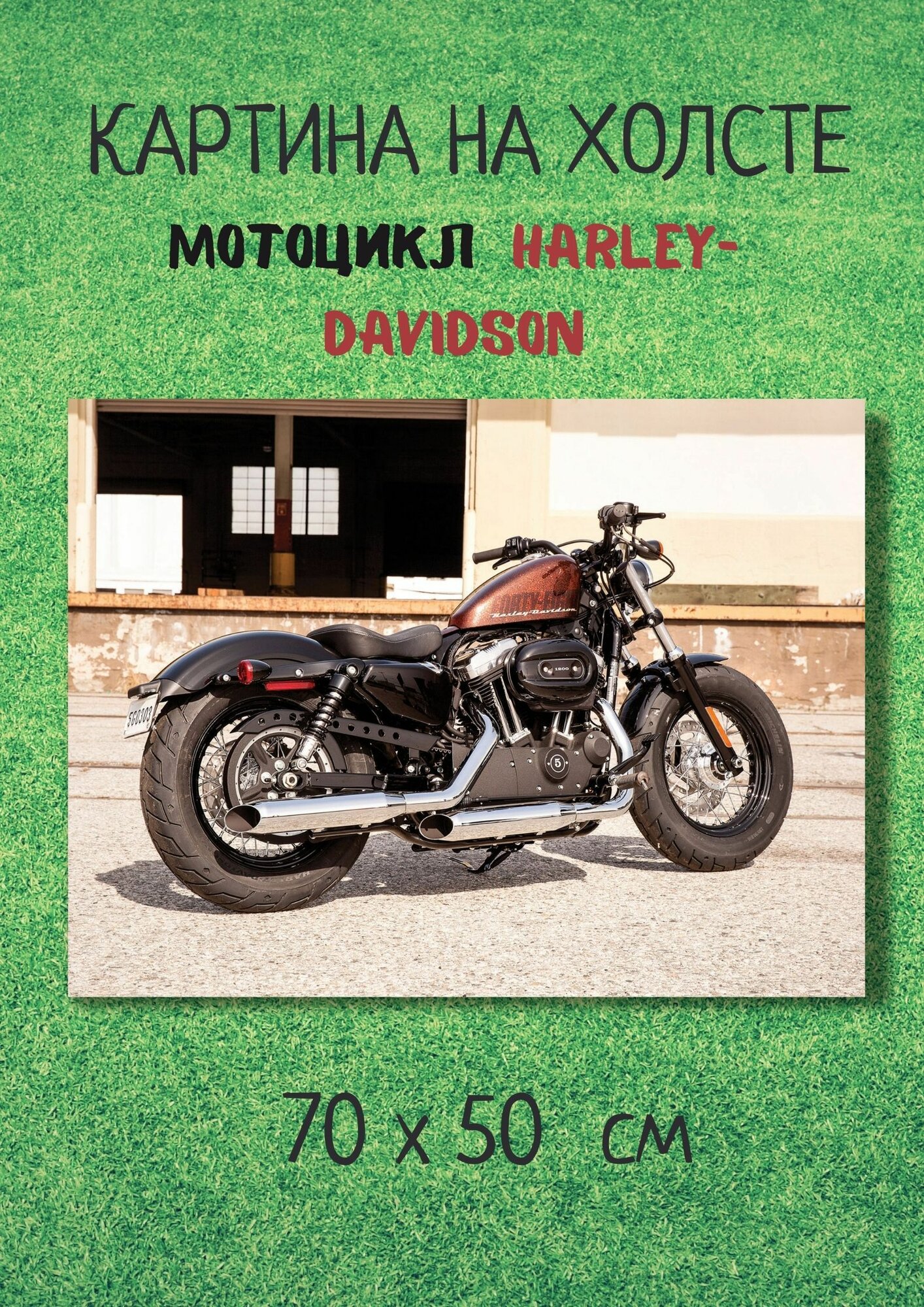 Фотокартина с красивым мотоциклом "Харлей Дэвидсон" 70х50 для интерьера