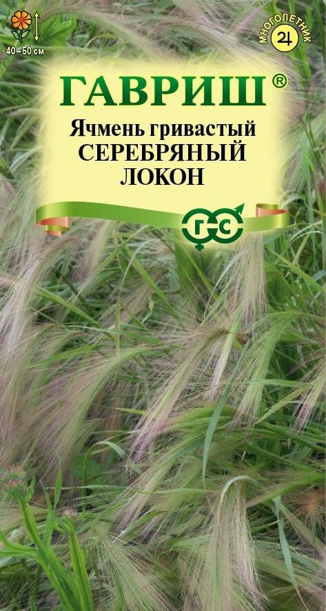Цена за 10 пачек! Семена Ячмень Серебряный локон гривастый 0,1г Мн 50см (Гавриш) Н24