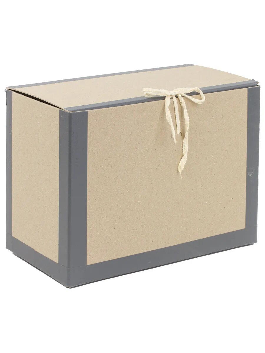 Короб архивный 180х240х330 мм до 1700 л