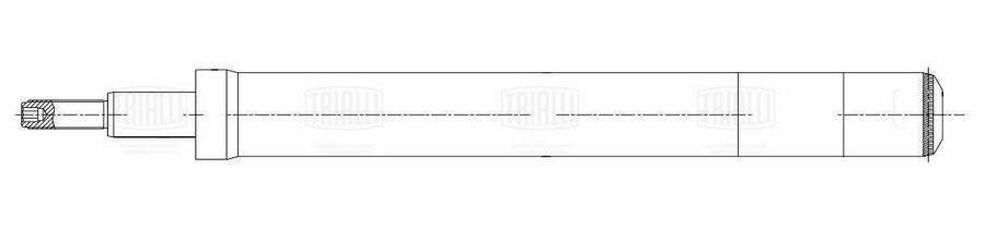 TRIALLI AG 18090 Амортизатор для а/м Audi 80 (86-)/Audi 80 (91-) (картридж) пер. (AG 18090)